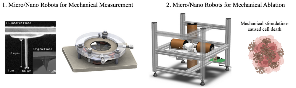 Overview Xian Wang Lab